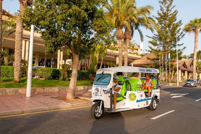 Secret Volcano Tour by Tuk Tuk in Costa Adeje - Who Should Book This Tour?