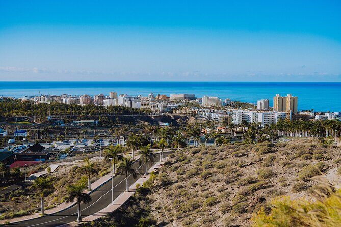 Secret Volcano Tour by Tuk Tuk in Costa Adeje - Final Thoughts