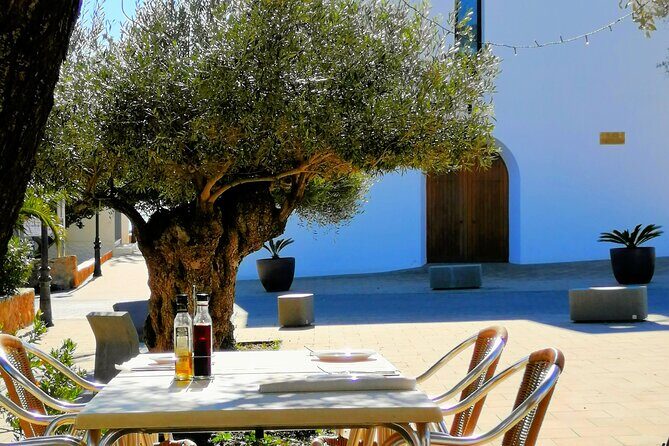 Secrets of Ibiza - Car tour in 8 hours - Who Should BookThis Tour?