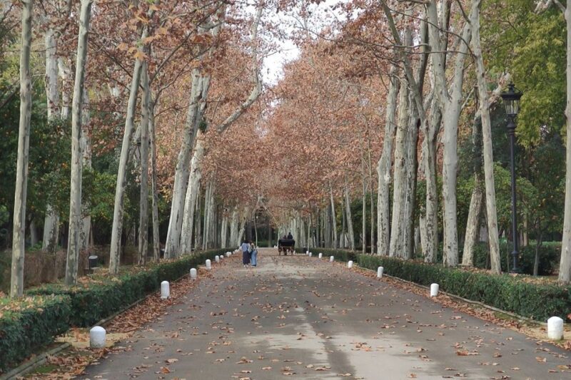 Secrets of Maria Luisa Park and Plaza de Espana - Additional Stops and Hidden Corners