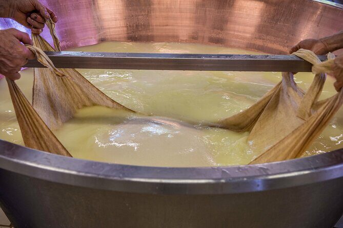 Secrets of Parmigiano Reggiano and Balsamic Vinegar - What to Expect from the Experience