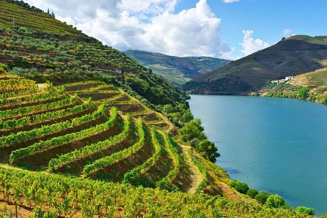 Secrets of Porto and Douro Valley with River Cruise - Key Points
