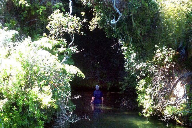 Secrets of Rotorua Lakes Boat Tour - Why This Tour Offers Excellent Value