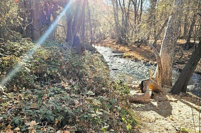 Sedona Sightseeing Tour - Who Should Consider This Tour?