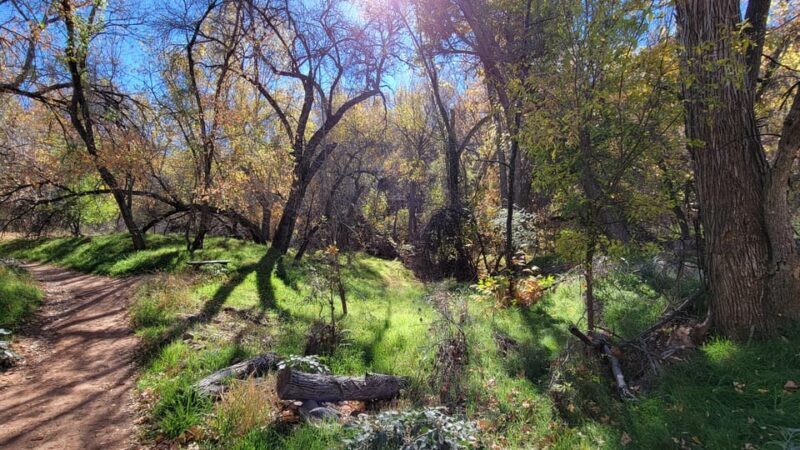 Sedona: The Scientific and Spiritual Vortex Tour - Frequently Asked Questions