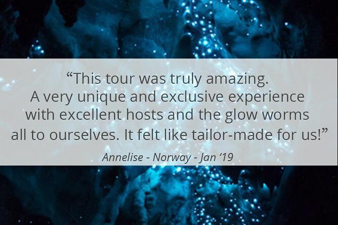 See Auckland's Secret Glow Worms - Final Thoughts: Who Will Love It?