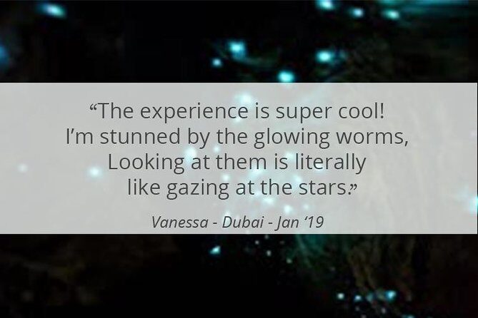 See Auckland's Secret Glow Worms - FAQ
