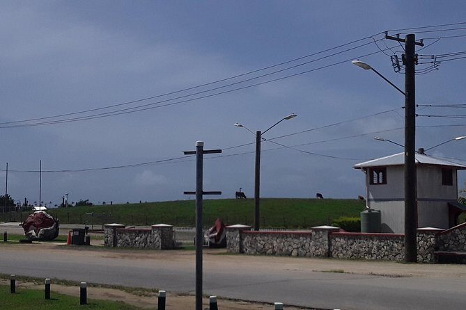 See Hear and Experience Full Island tour - An Overview of What You’ll Discover