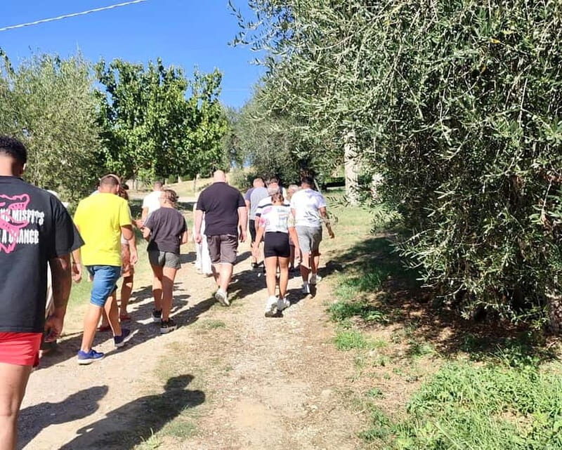 Seggiano: Guided Tour of the Olive Grove and Food Tasting - Key Points