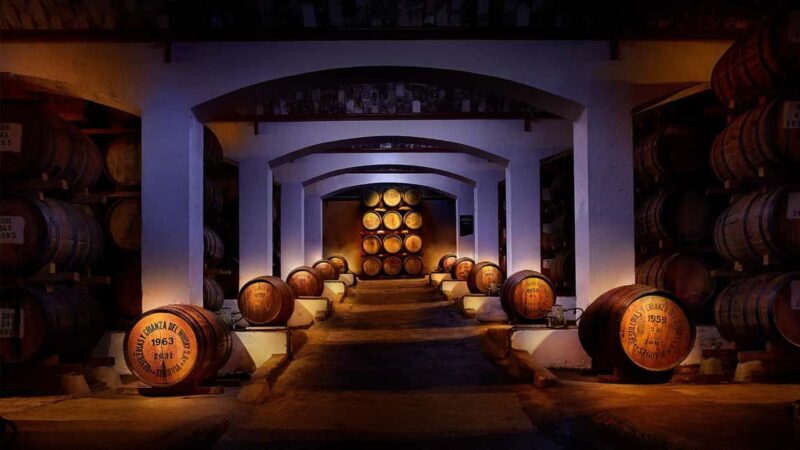 Segovia: Guided tour of the DYC Distillery with whiskey tasting - Discovering the DYC Distillery: What You Can Expect