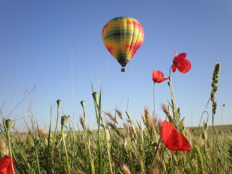 Segovia: Hot-Air Balloon Flight with Optional 3-Course Lunch - Key Points