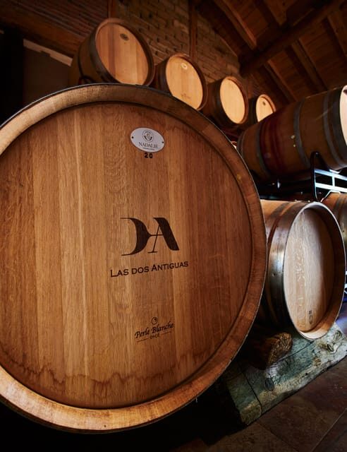 Segovia: Winery Tour with Wine Tasting - An In-Depth Look at the Winery Tour Experience  