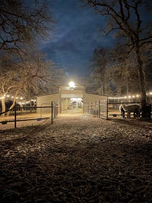 Seguin: Alpaca Experience and Adventure Tour - Practical Tips for the Tour