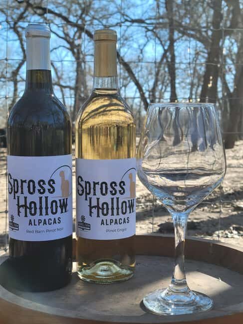 Seguin: Alpaca Experience and Adventure Tour - The Value Proposition