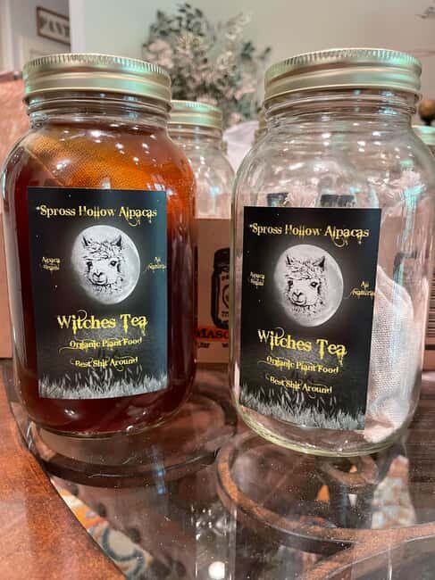 Seguin: Alpaca Experience and Adventure Tour - Who Should Consider This Tour?