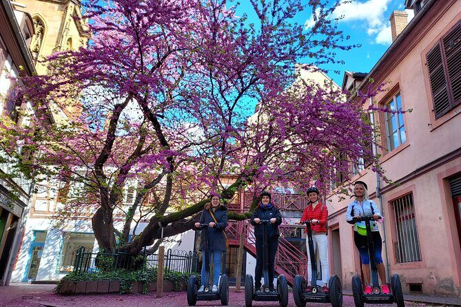 Segway Tours 2h in Colmar - The Sum Up