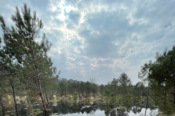 Seignosse electric scooter excursion - The Sights and Sensations