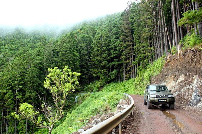 Seize your day in São Miguel with a 4x4 private tour - Why Choose a Private 4x4 Tour in São Miguel?