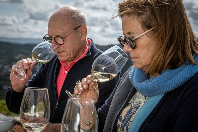 Selection Tasting | Quinta de Santa Cristina Vinho Verde - An In-Depth Look at the Quinta de Santa Cristina Selection Tasting