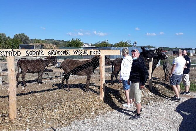 Self drive 4x4 Jeep Safari - Pick ups in the North - Who This Tour Is Perfect For