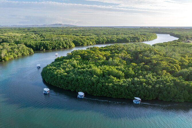 Self Drive BBQ eBoat Cruise with Onboard BBQ Denarau Fiji - A Detailed Look at the Experience