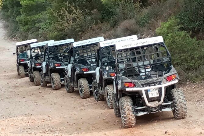 Self-Driving Off-Road Buggy Tour with Experienced Guide - Who Will Love This Experience?