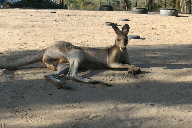 Self Guided Agnes to 1770 Scooter Hire - Who Will Love This Experience?