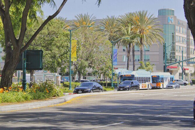 Self-Guided Anaheim Scavenger Hunt: Anaheim Grapes To Glory - How the Experience Feels