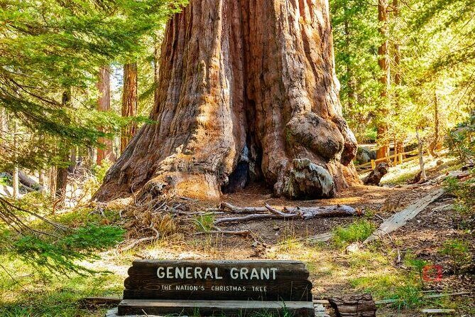 Self-Guided Audio Driving Tour in Sequoia and Kings Canyon - The Sum Up