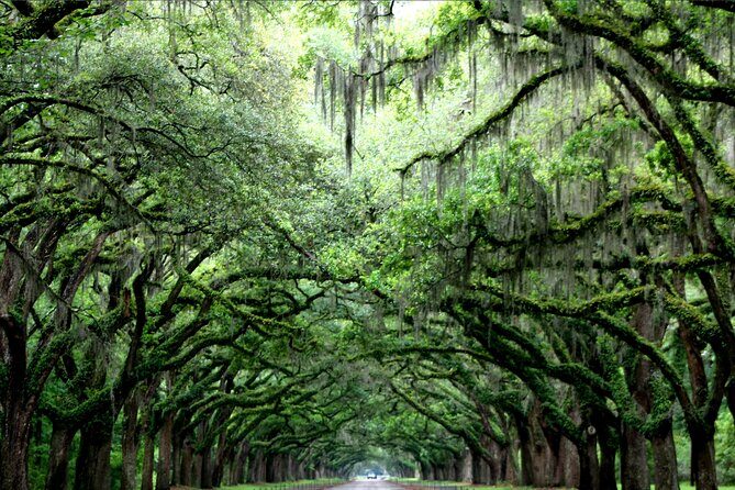 Self-Guided Audio Ghost Tour Through Savannah Shadows - FAQ