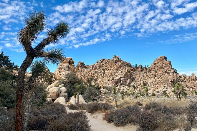 Self Guided Audio Tour of Joshua Trees Hidden Valley Trail - The Experience in Depth