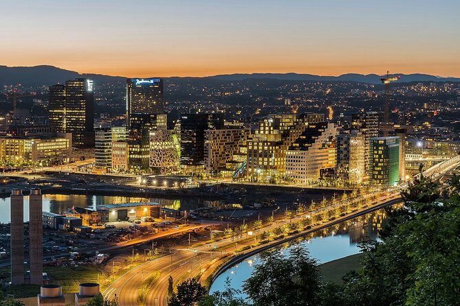 Self-Guided Bergen to Oslo Daytrip With Flamsbana & Fjordcruise - Who Would Love This Tour?