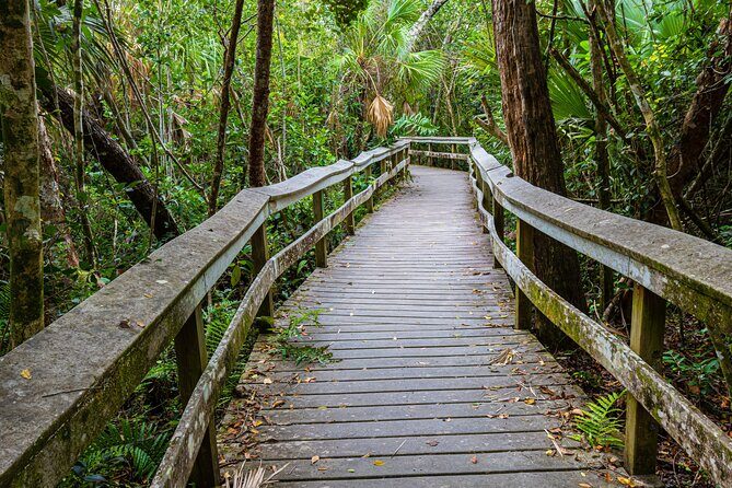 Self Guided Driving Audio Tour of Everglades National Park - Discover the Everglades with a Self-Guided Driving Audio Tour