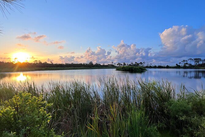 Self-Guided E-Bike or Cruiser Bike Tour of St. Andrews State Park - Food, Rest, and Additional Tips