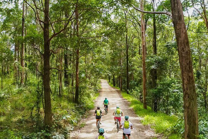 Self Guided E Bike Tour - Unicorn Falls, Rainforest & Rail Trail - An In-Depth Look at the Self-Guided E-Bike Tour Experience  
