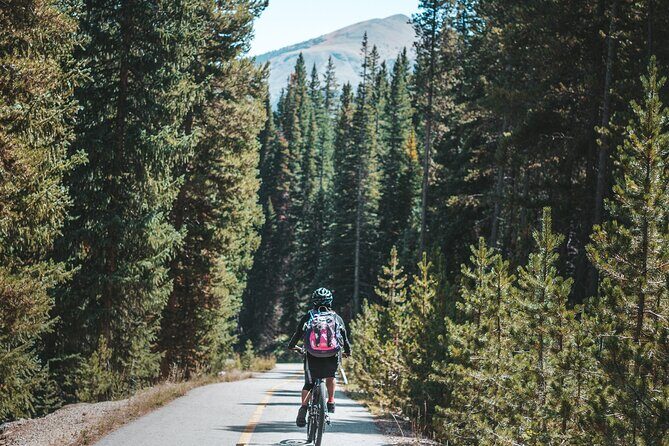 Self Guided Ebike Tour of Breckenridge Lake Loop - Who Would Love This Experience?