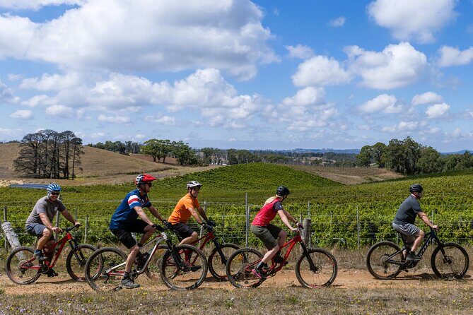 Self Guided Ebike Winery Tour in the Adelaide Hills - The Experience: What to Expect from the Tour