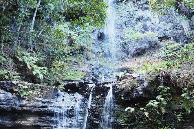 Self Guided Electric Bicycle Tour of Bundanoon - Who Should Consider This Tour?