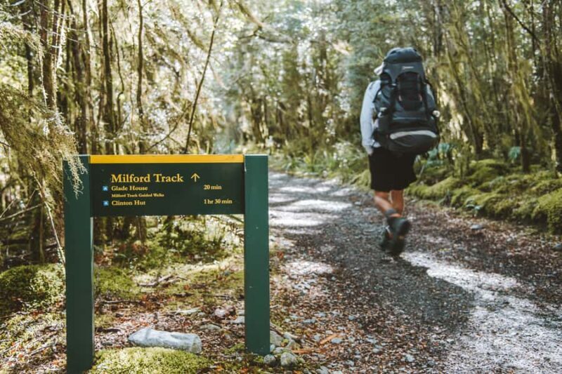 Self-Guided Milford Track Day Walk from Lake Te Anau - Key Points