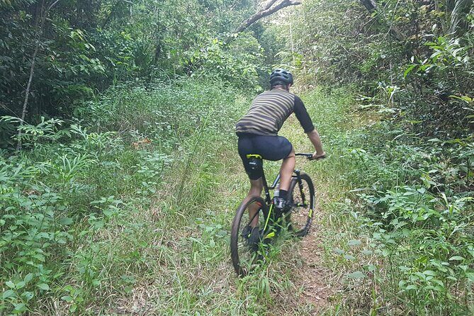 Self-Guided Mountain Bike Tours in Port Douglas - Why Choose a Self-Guided Mountain Bike Tour in Port Douglas?