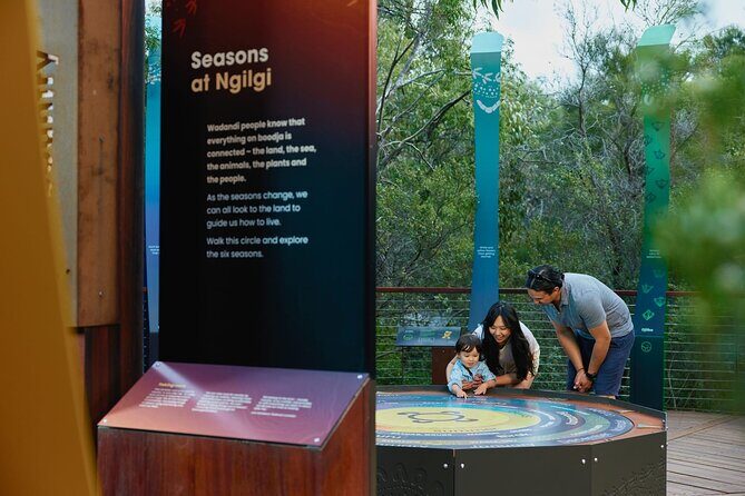 Self-Guided Ngilgi Cave Ancient Lands Experience - An In-Depth Look at the Ngilgi Cave Ancient Lands Experience