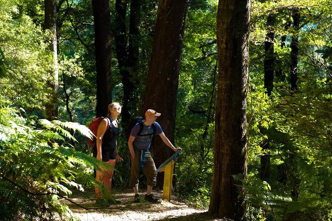 Self-Guided Queen Charlotte Track Walk from Picton - Key Points