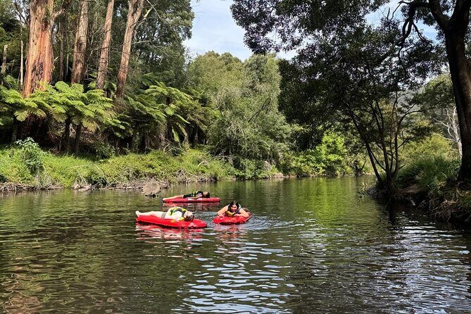 Self-Guided River Sledding Adventure on the Yarra River - Final Thoughts: Who Should Consider This?