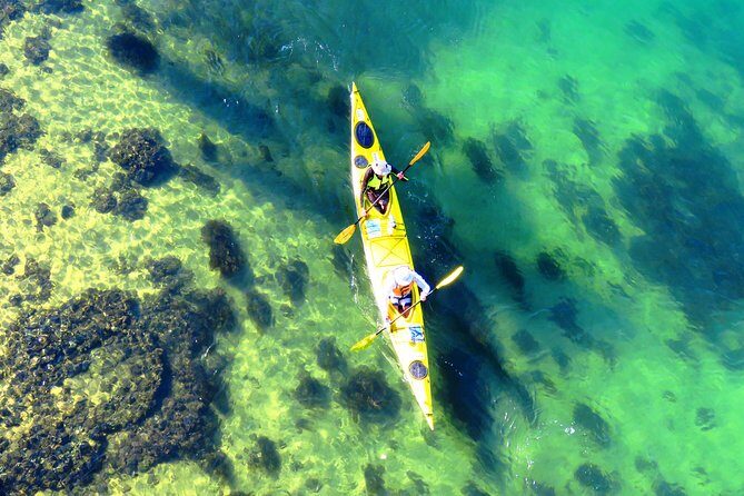 Self-Guided Sydney Middle Harbour Kayak 3 Hour Tour by Double Kayak - Discovering the Beauty of Sydneys Middle Harbour