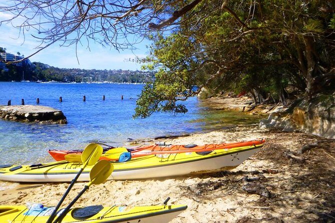 Self-Guided Sydney Middle Harbour Kayak 3 Hour Tour by Single Kayak - Final Thoughts