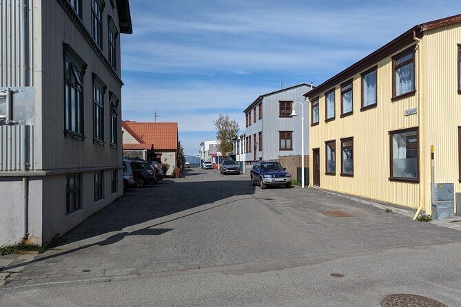 Self-Guided Tour of Ísafjörður: Art, History, and Architecture - Who Will Enjoy This Tour?