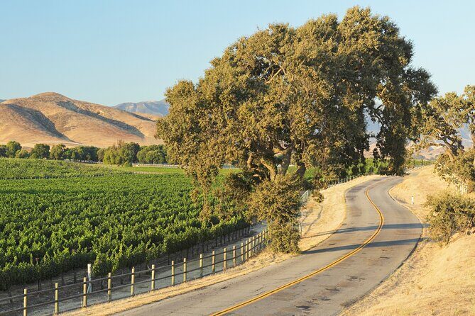 Self Guided Tour of Solvang and Santa Ynez Wine Country - Authenticity and Local Flavor