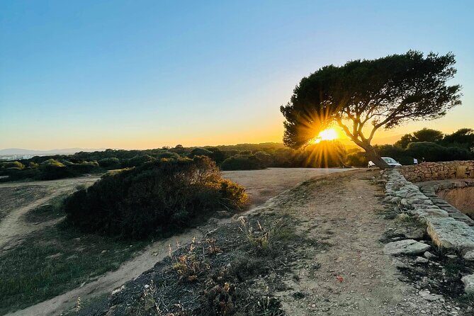 Self-guided Walking Tour and Outdoor Escape Game in Cala Millor, in German - Key Points