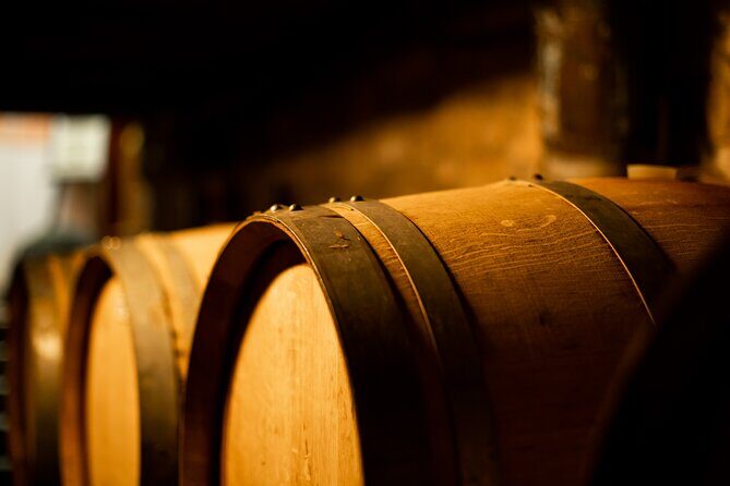 Sella delle Spine Taurasi: Tasting, Vineyard and Cellar Tour - Discovering Taurasi’s Heart: An Authentic Wine Tour