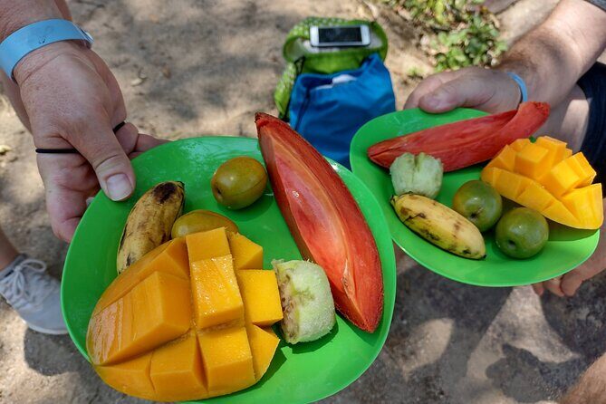 Selva y Playas Exóticas, Senderismo en Puerto Vallarta - Food, Snacks, and Extras